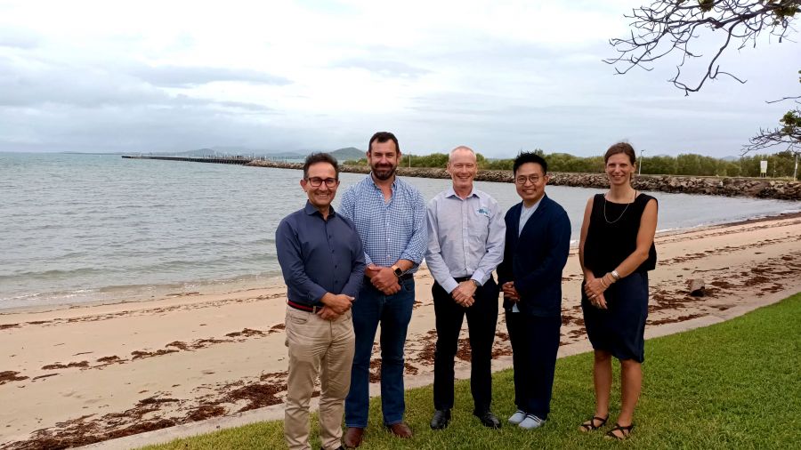 Bowen wharf's bright future takes shape | North Queensland Bulk Ports ...